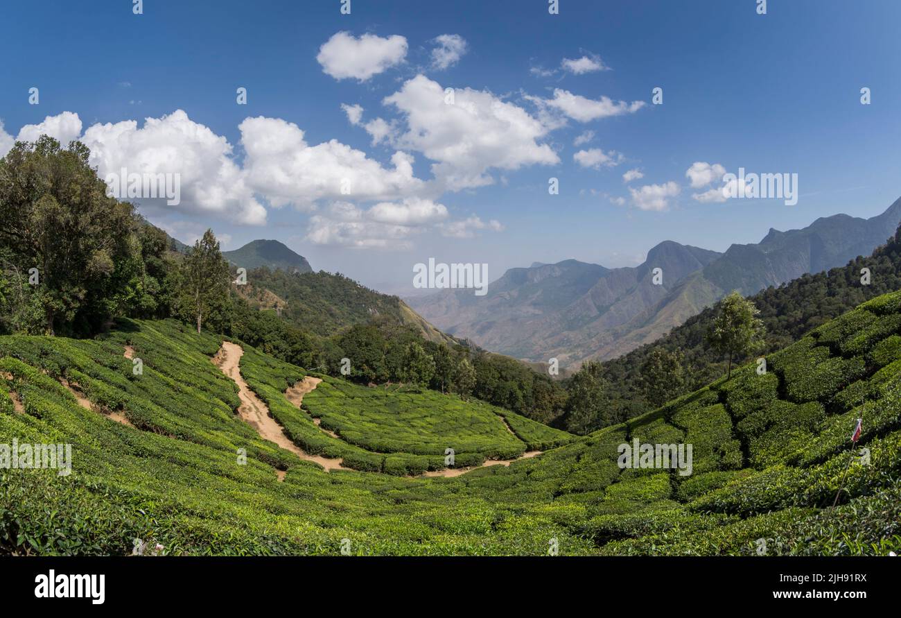 Munnar top station hi-res stock photography and images - Alamy