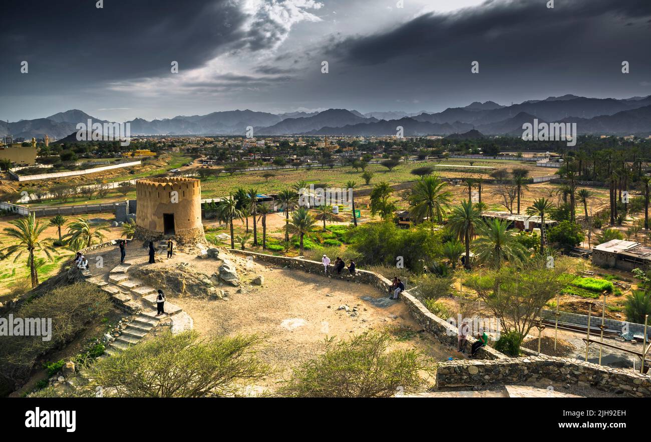 Date farm view hi-res stock photography and images - Alamy