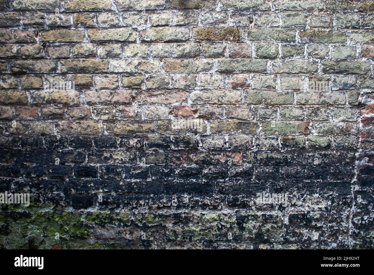 Damp stain hi-res stock photography and images - Alamy