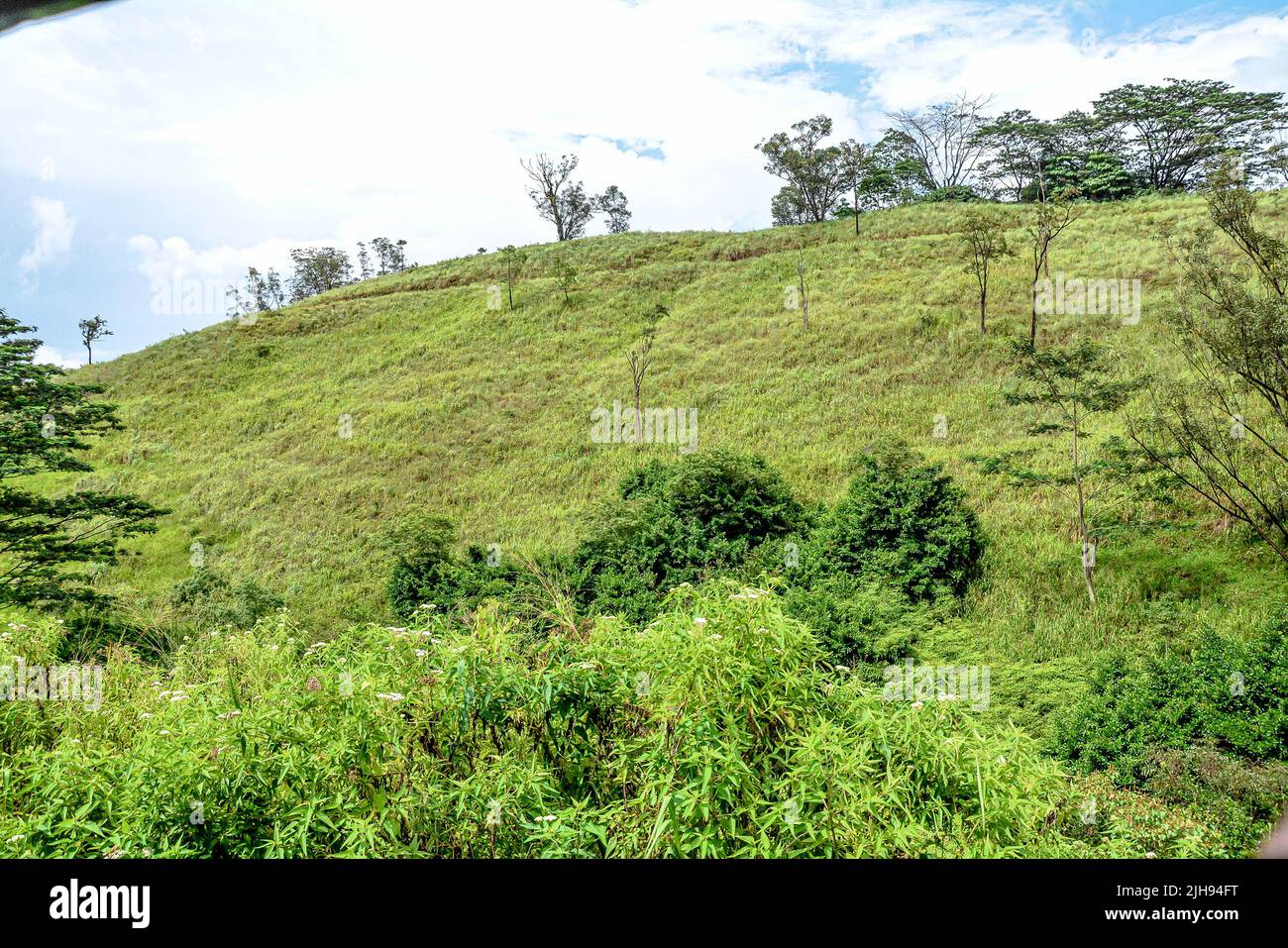 Forest area between Badulla and Colombo railway line Stock Photo - Alamy