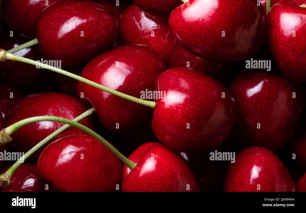 Red juicy sweet cherries. Juicy maroon fruit close-up. Cherries in ...