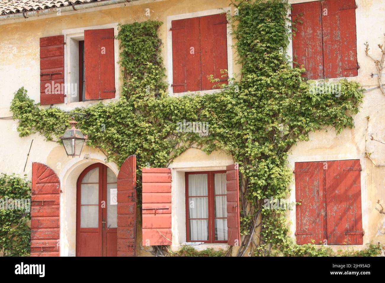 Vines wall hi-res stock photography and images - Alamy