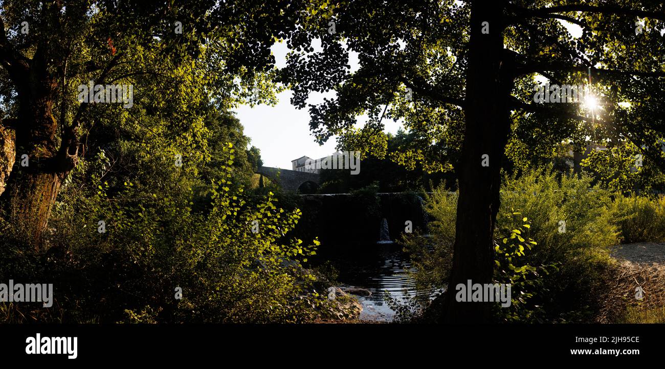 beautiful view of green landscape with foliage and sunlight Stock Photo ...