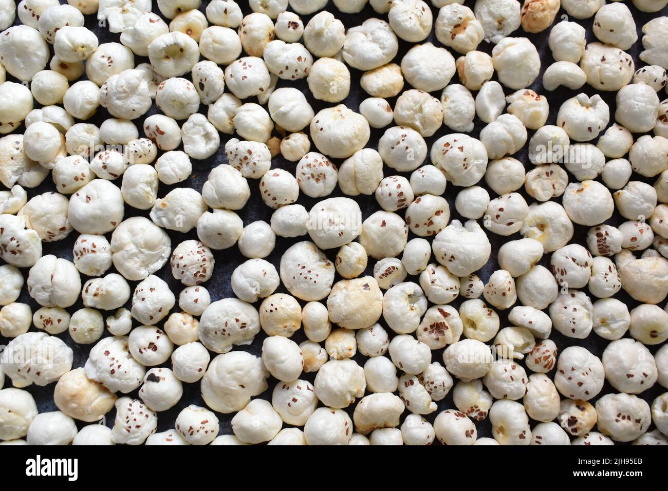 Fresh popped whole Fox nut Stock Photo - Alamy