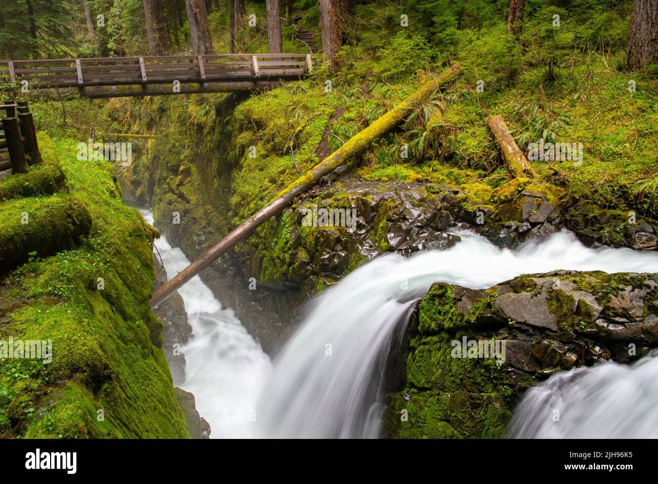 Waterfall and wooden footbridge along Sol Duc Falls hiking trail in ...