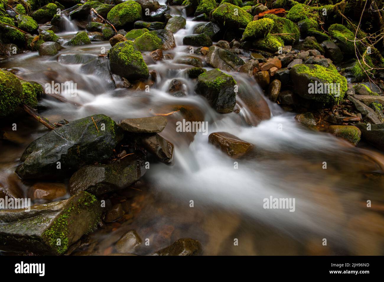 A clear stream flowing over moss-covered rocks along the Sol Duc Falls ...