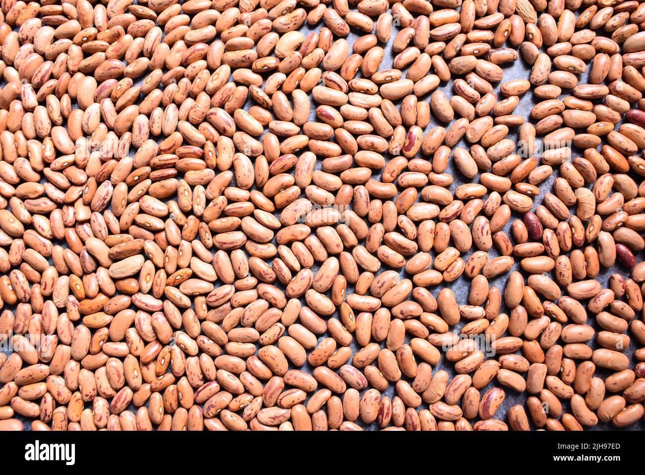 Raw whole dried speckled kidney beans Stock Photo - Alamy
