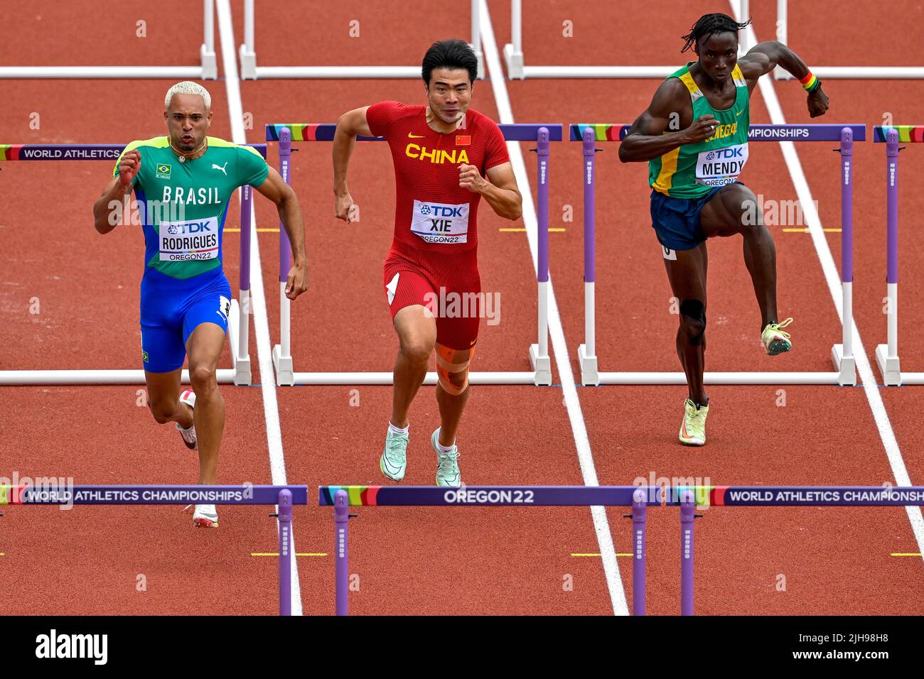 Mens 110 hurdles hi-res stock photography and images - Alamy