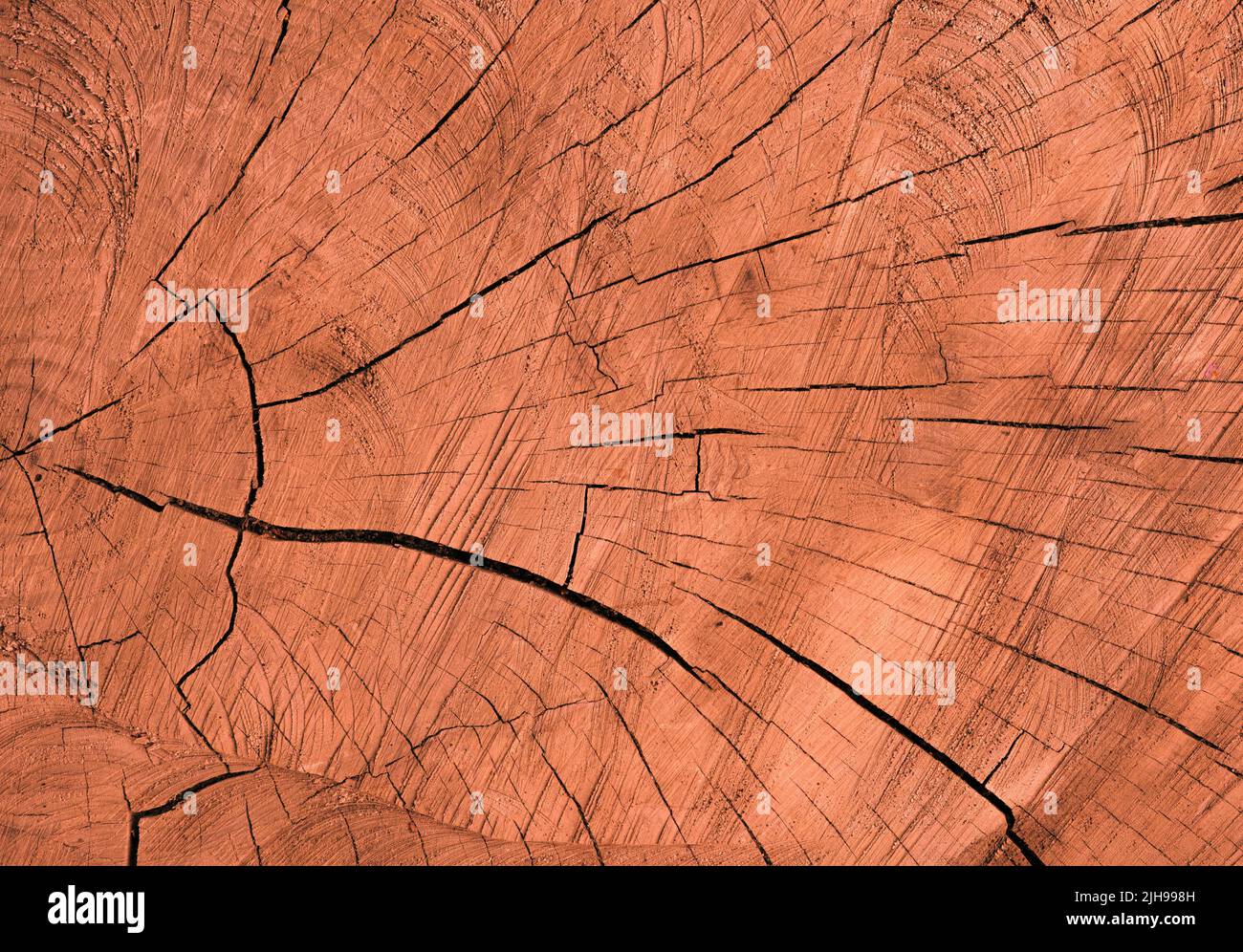 Texture Ends wood, seamless texture wooden Stock Photo - Alamy