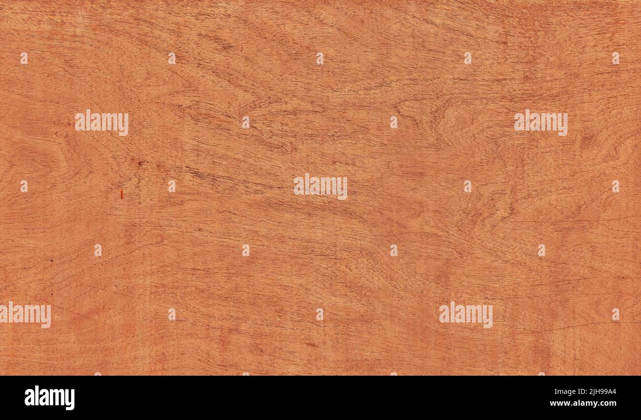 Texture Clean wood, seamless texture wooden Stock Photo - Alamy
