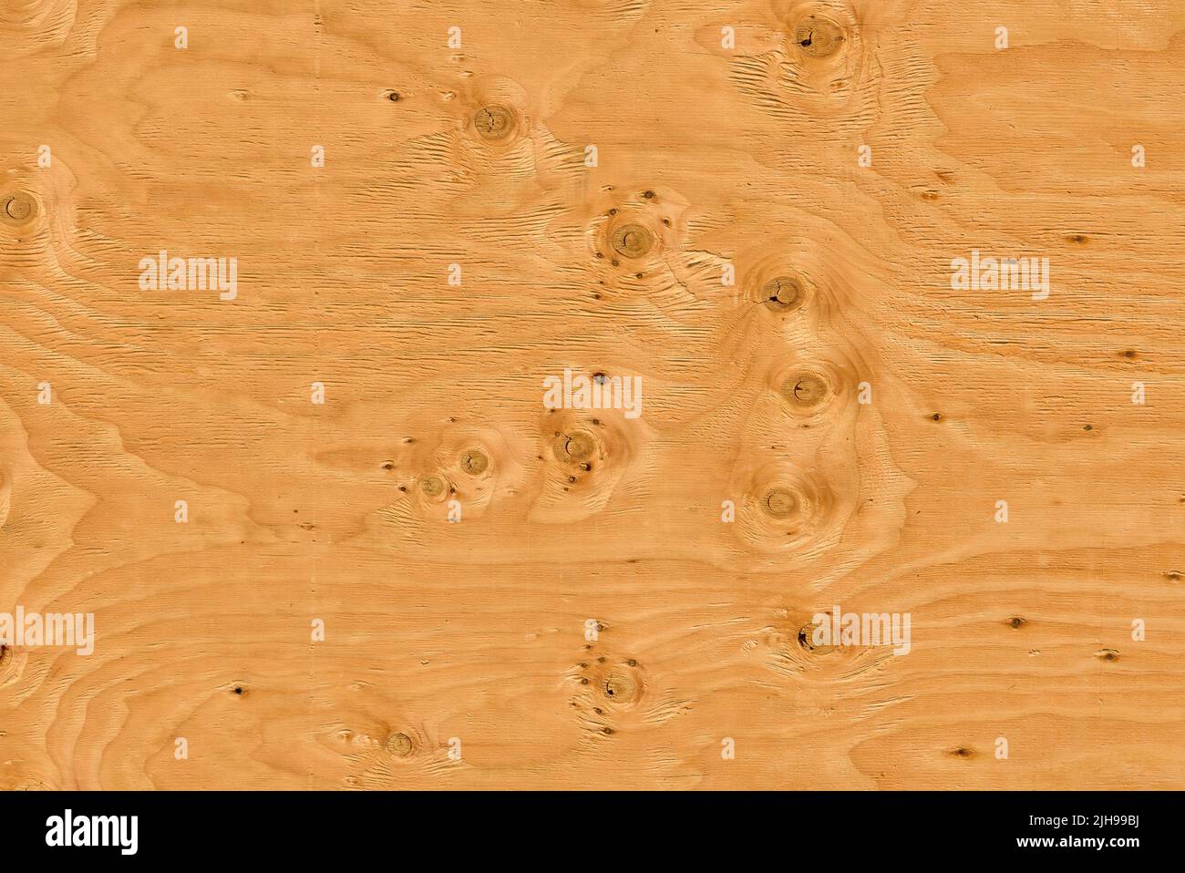 Texture Clean wood, seamless texture wooden Stock Photo - Alamy