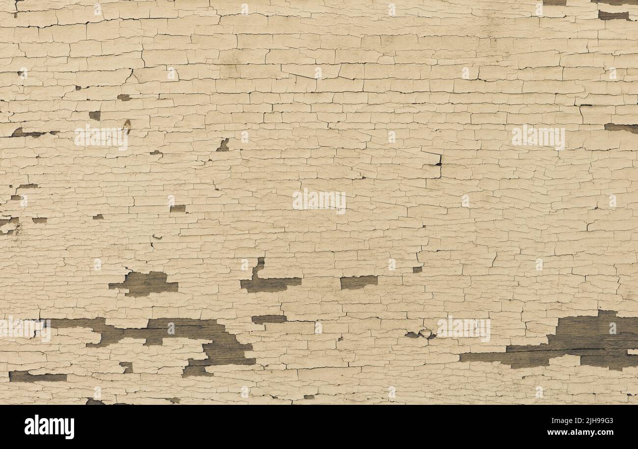 Texture Painted wood, seamless texture wooden Stock Photo - Alamy