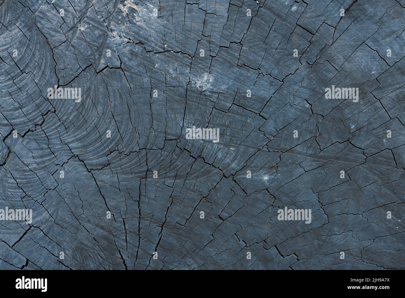 Texture Ends wood, seamless texture wooden Stock Photo - Alamy