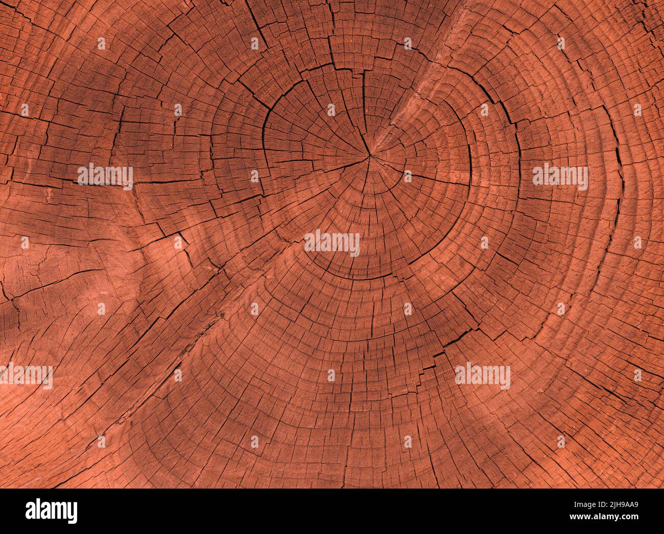 Texture Ends wood, seamless texture wooden Stock Photo - Alamy
