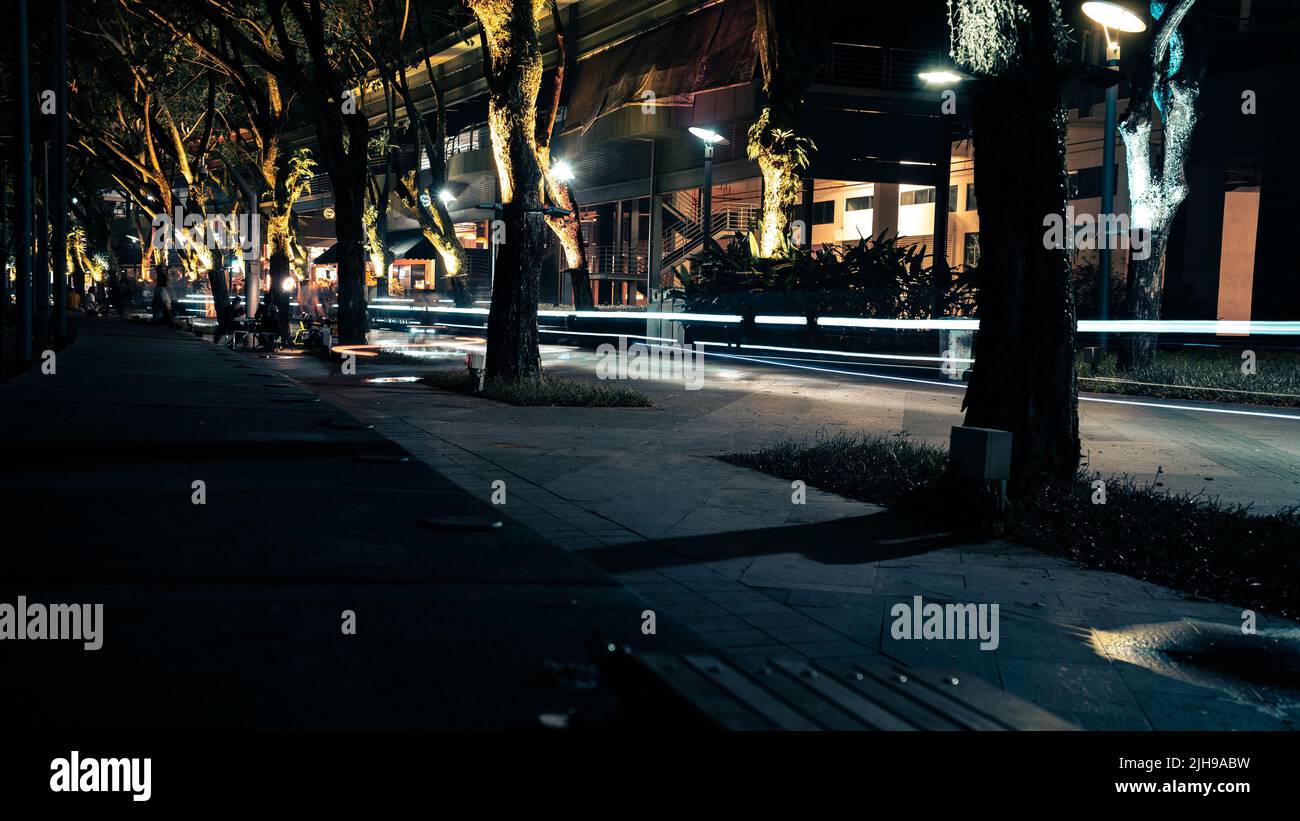The trees on a sidewalk near modern buildings at night Stock Photo - Alamy