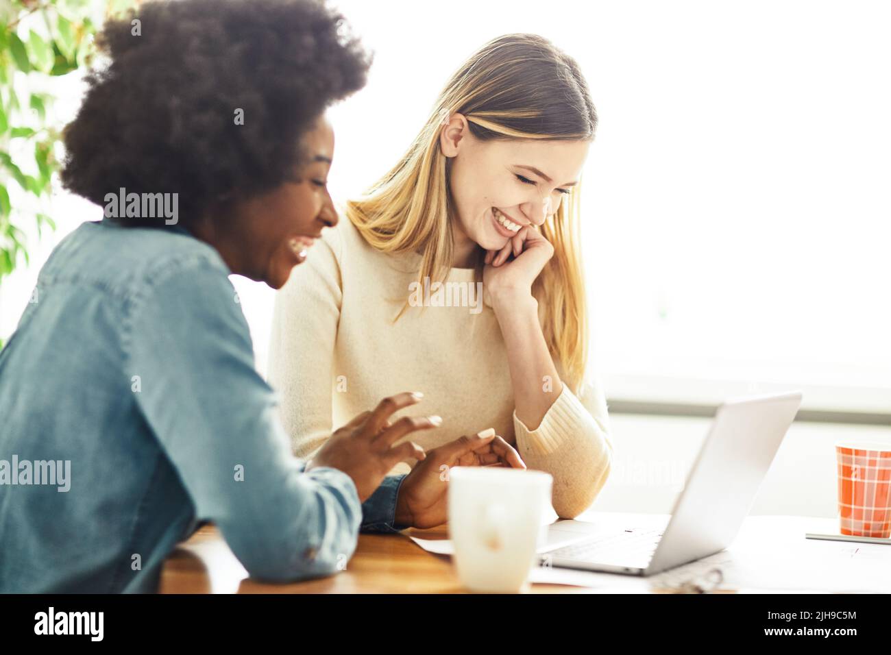 laptop woman girl computer friend happy technology young work business office startup friendship ...