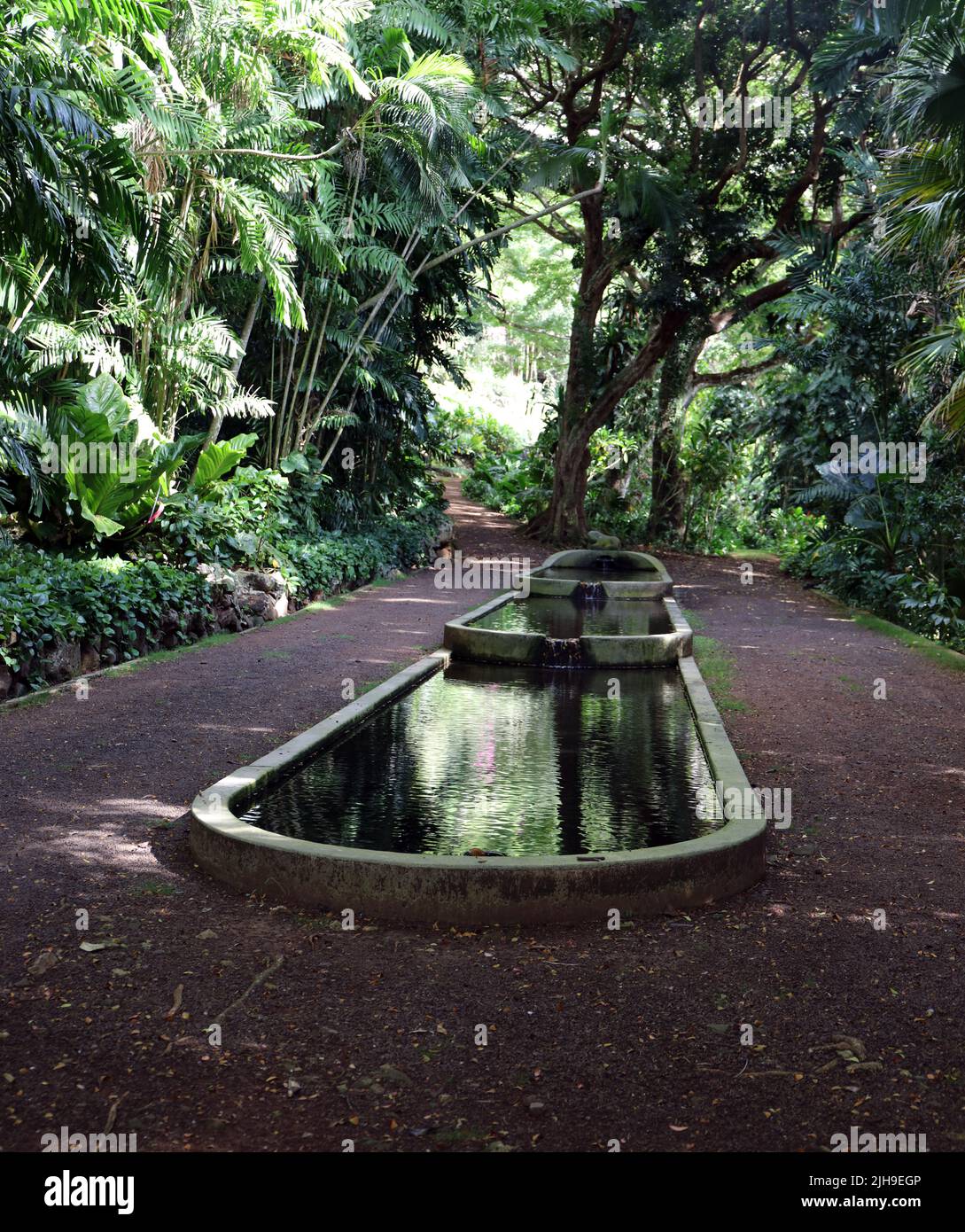 Reflection pond, water feature, with three levels lined by walkways and ...