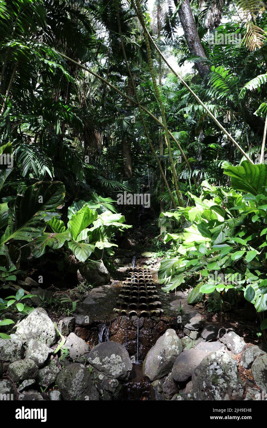 Waterfall trickling through rocks hi-res stock photography and images ...