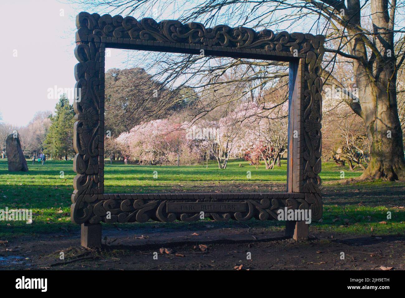 Cherry trees in a large wooden frame Stock Photo - Alamy