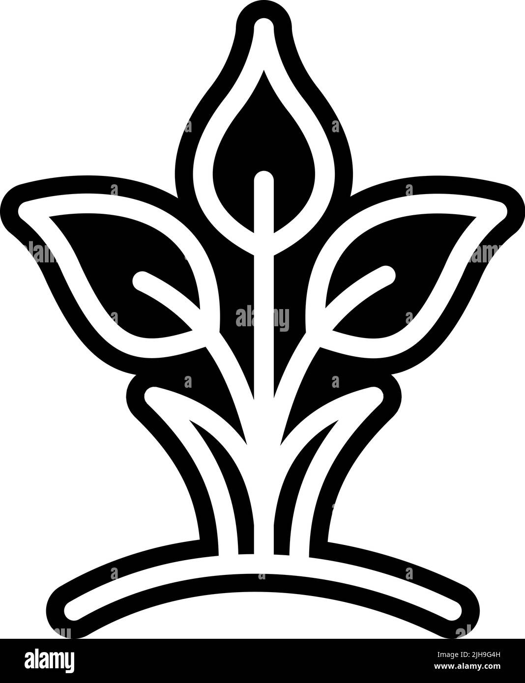 Social plant Black and White Stock Photos & Images - Alamy