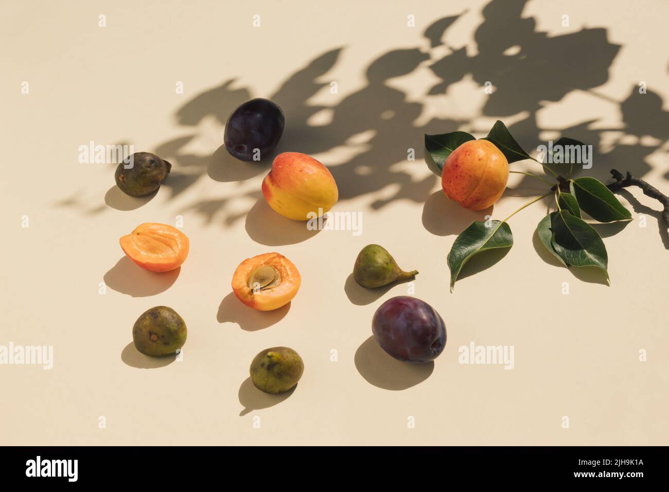 Summer fig tree hi-res stock photography and images - Alamy