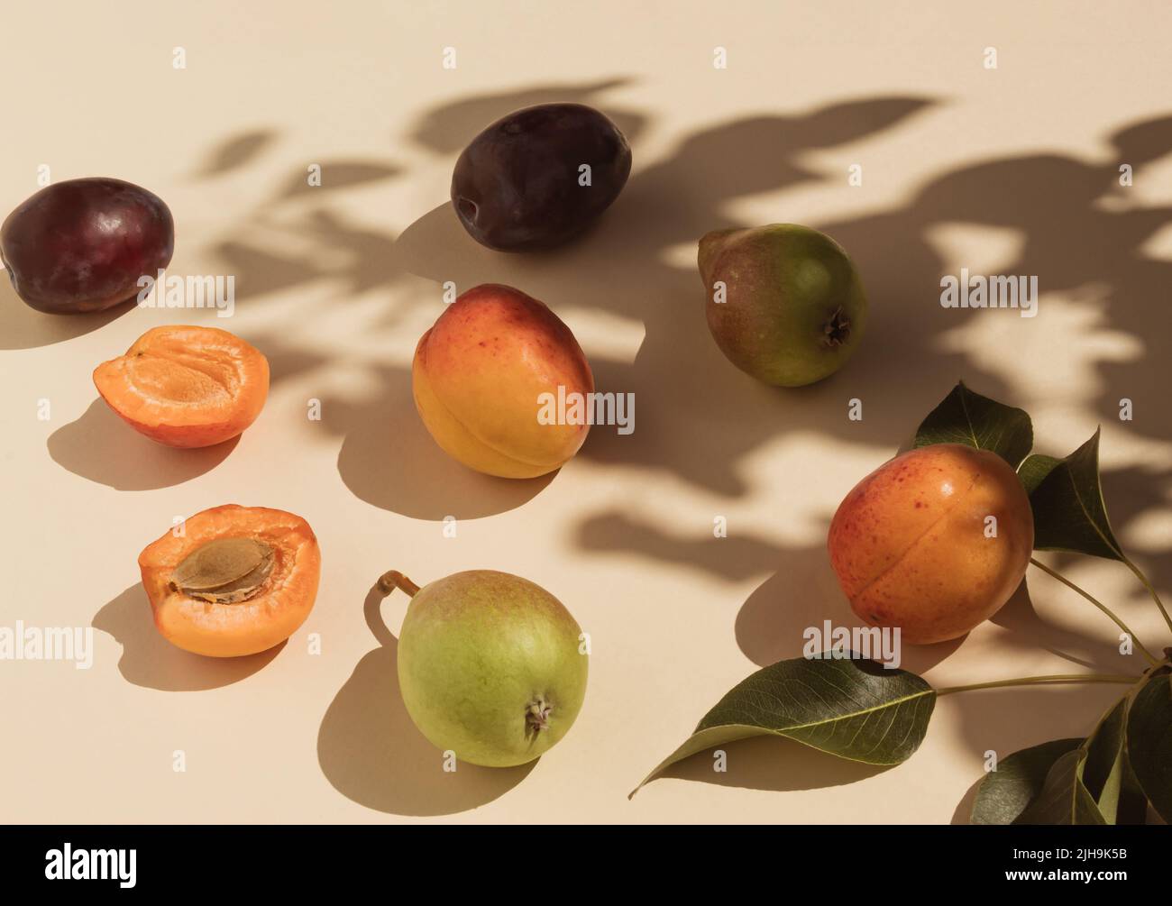 Colorful food pattern made of apricot, plum, pear and leaves. Sunlight ...