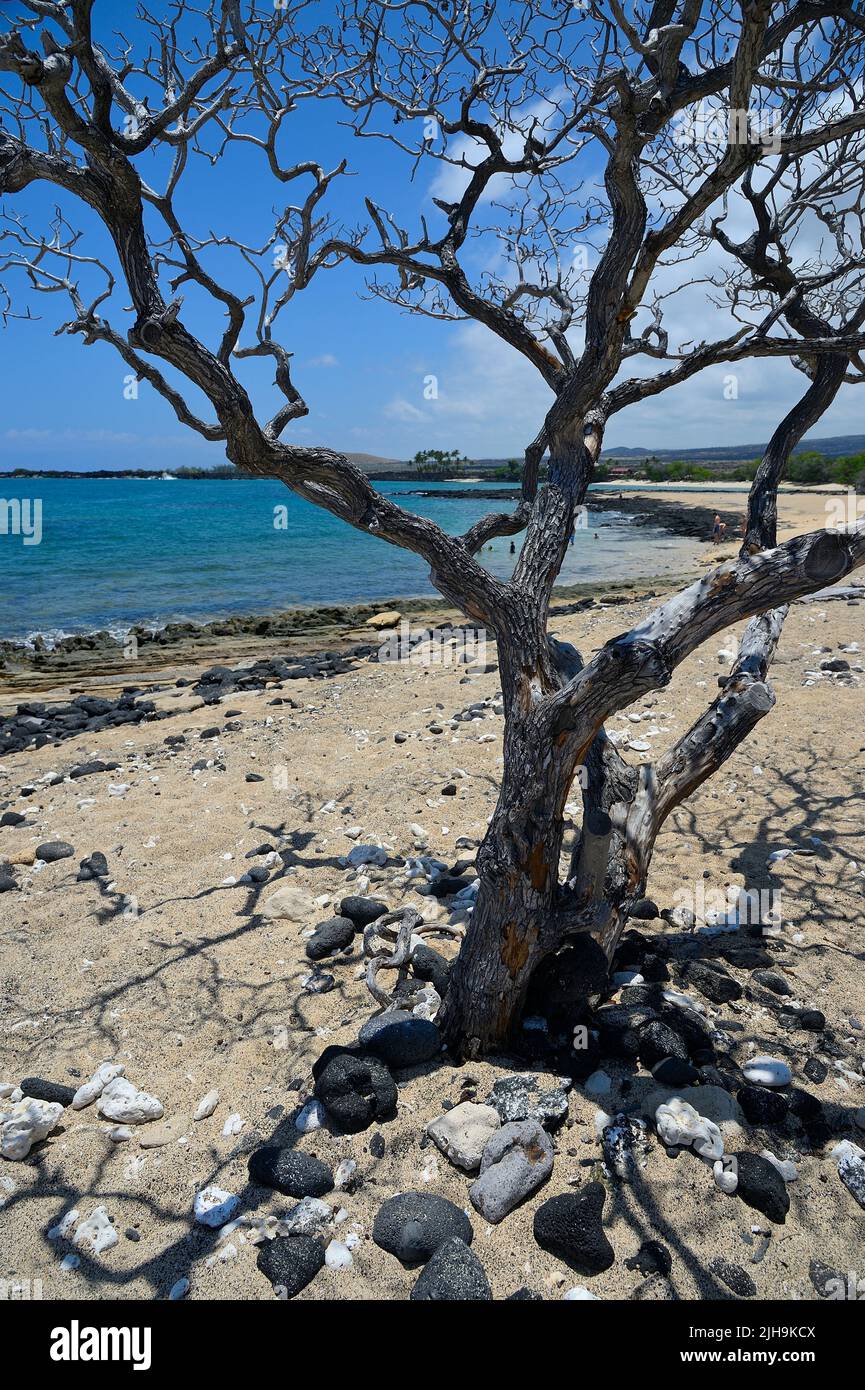 Kawili point hi-res stock photography and images - Alamy