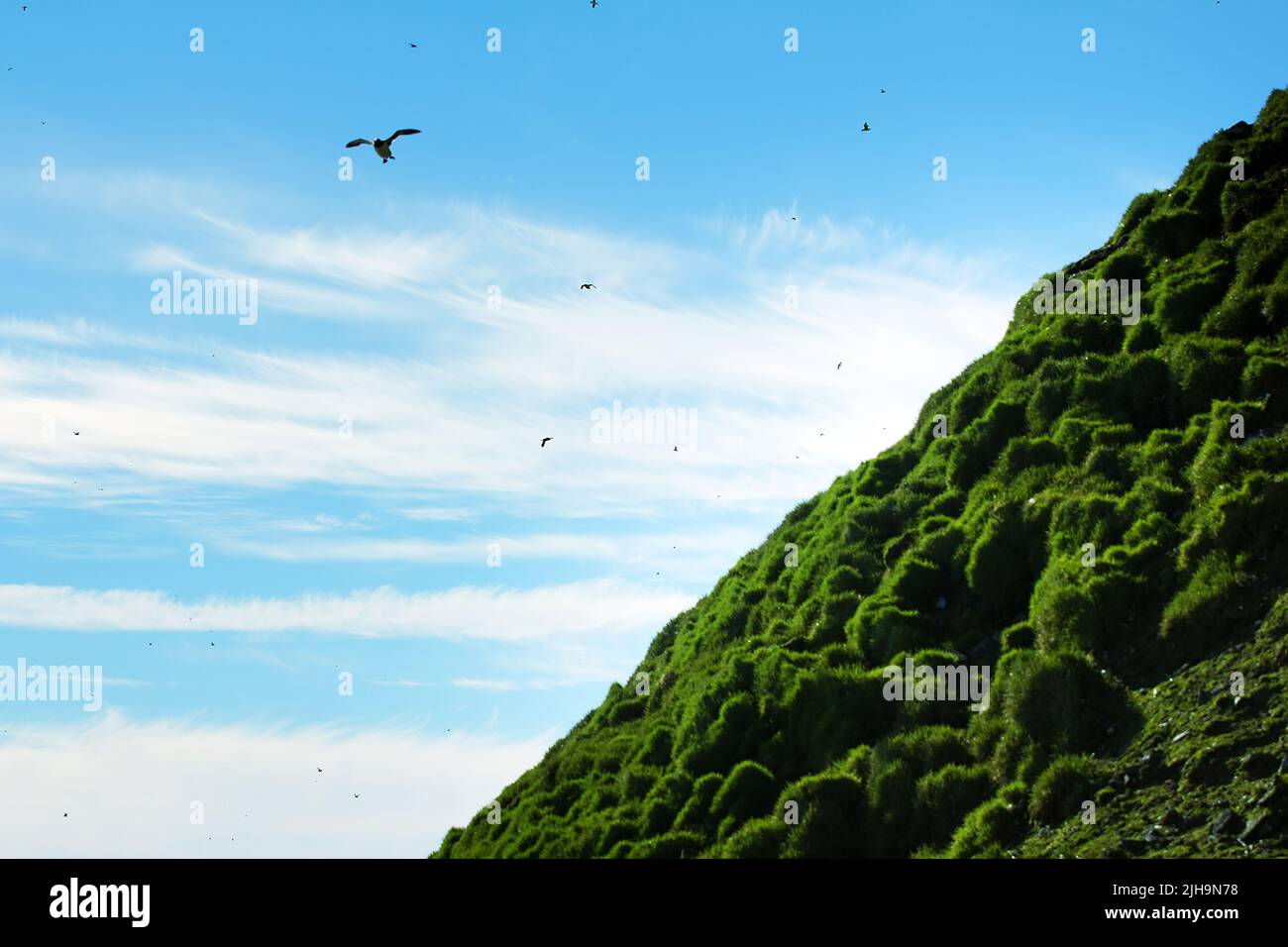 Ornithogenic landscape hi-res stock photography and images - Alamy
