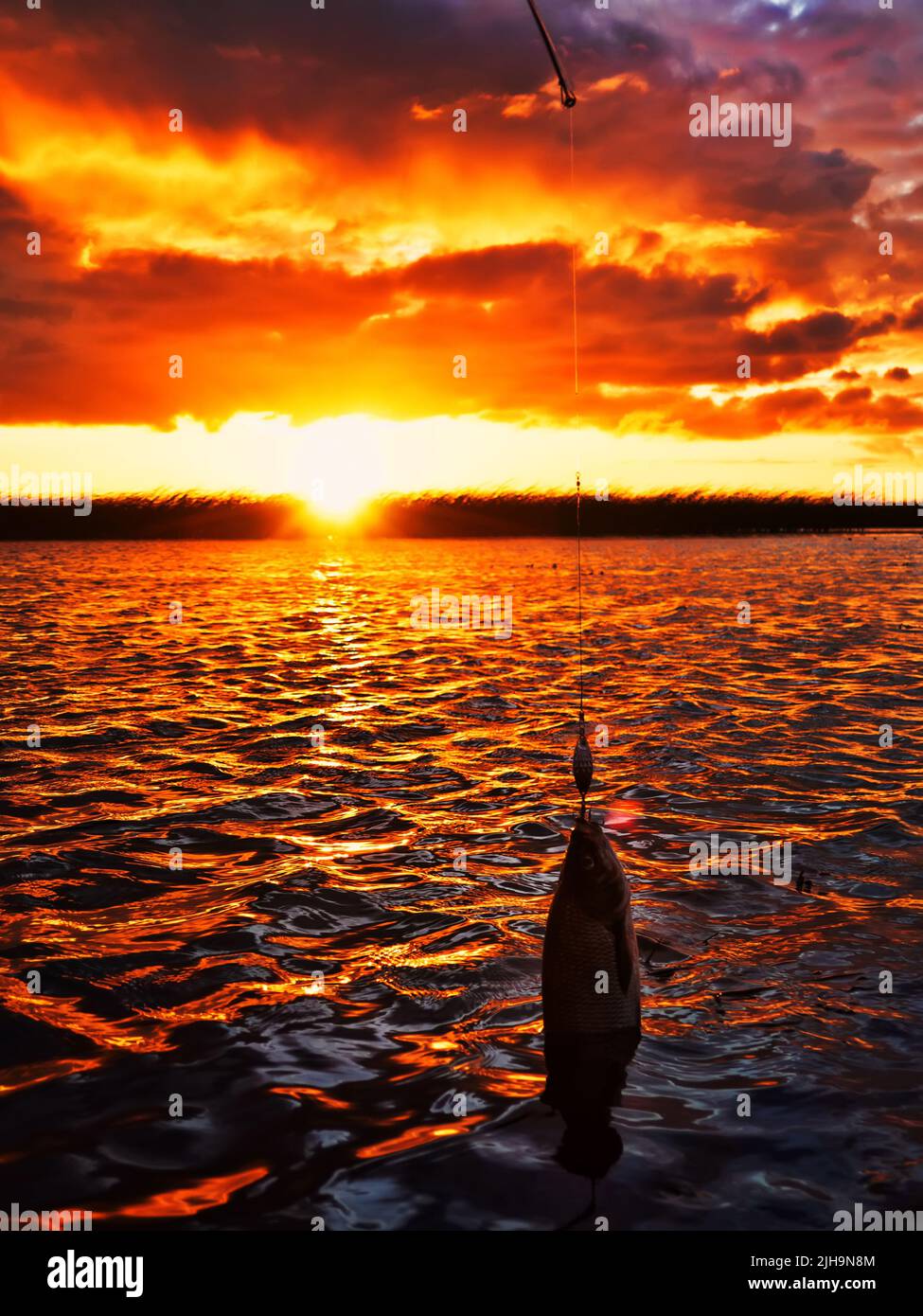 Fishing at sunset. Catching predatory fish on spinning. Sunset colors ...