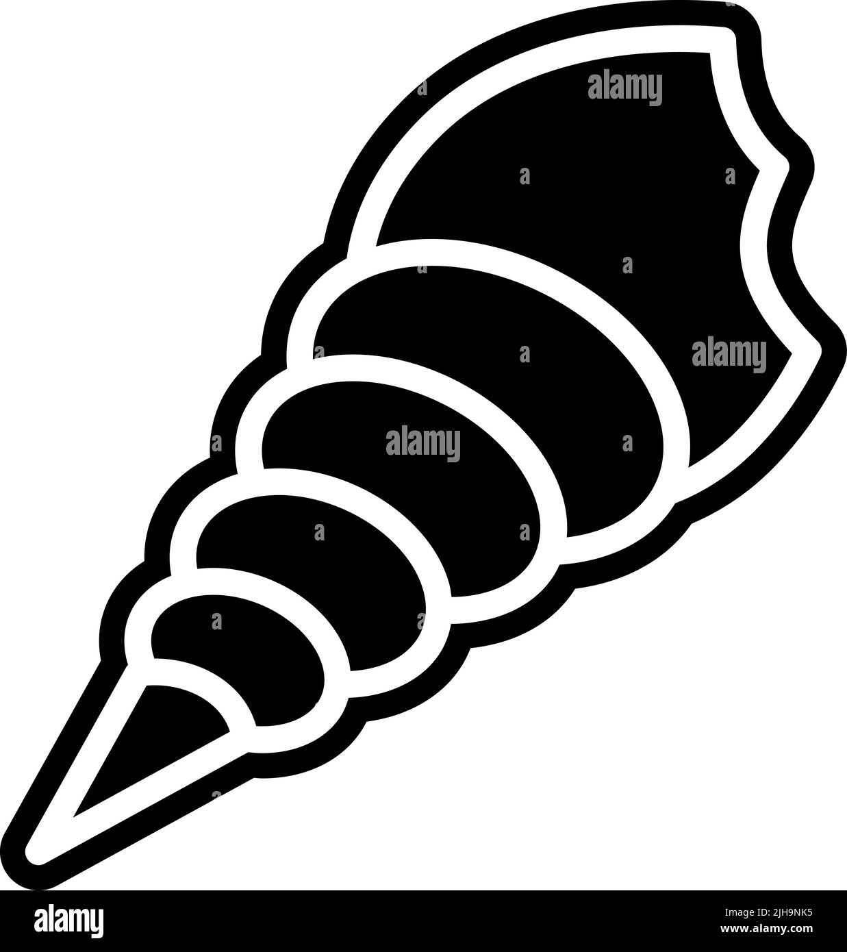 Sea shell illustration Black and White Stock Photos & Images - Alamy