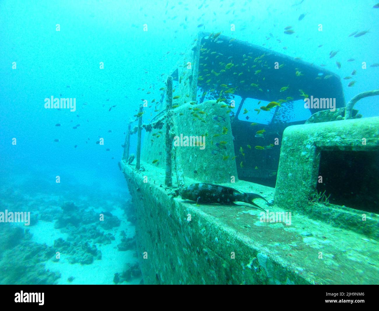 Sea pollution in metals and other garbage in the Red Sea Stock Photo ...