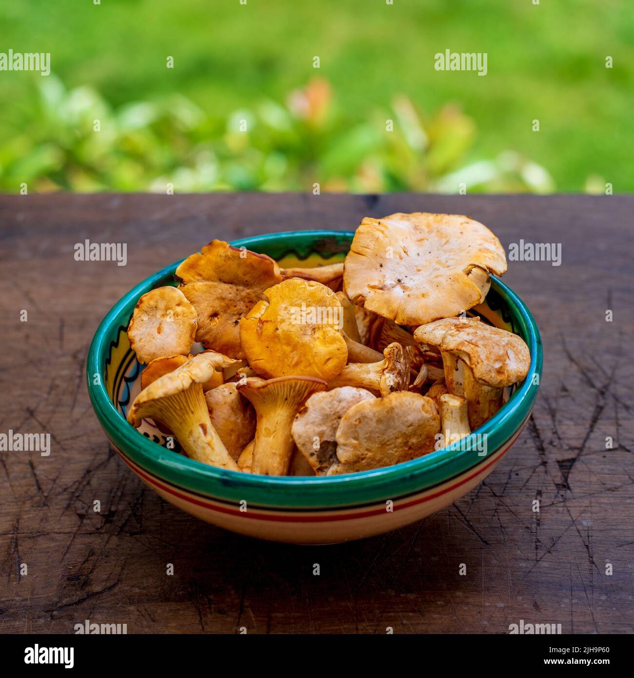 Gold top mushrooms hi-res stock photography and images - Alamy