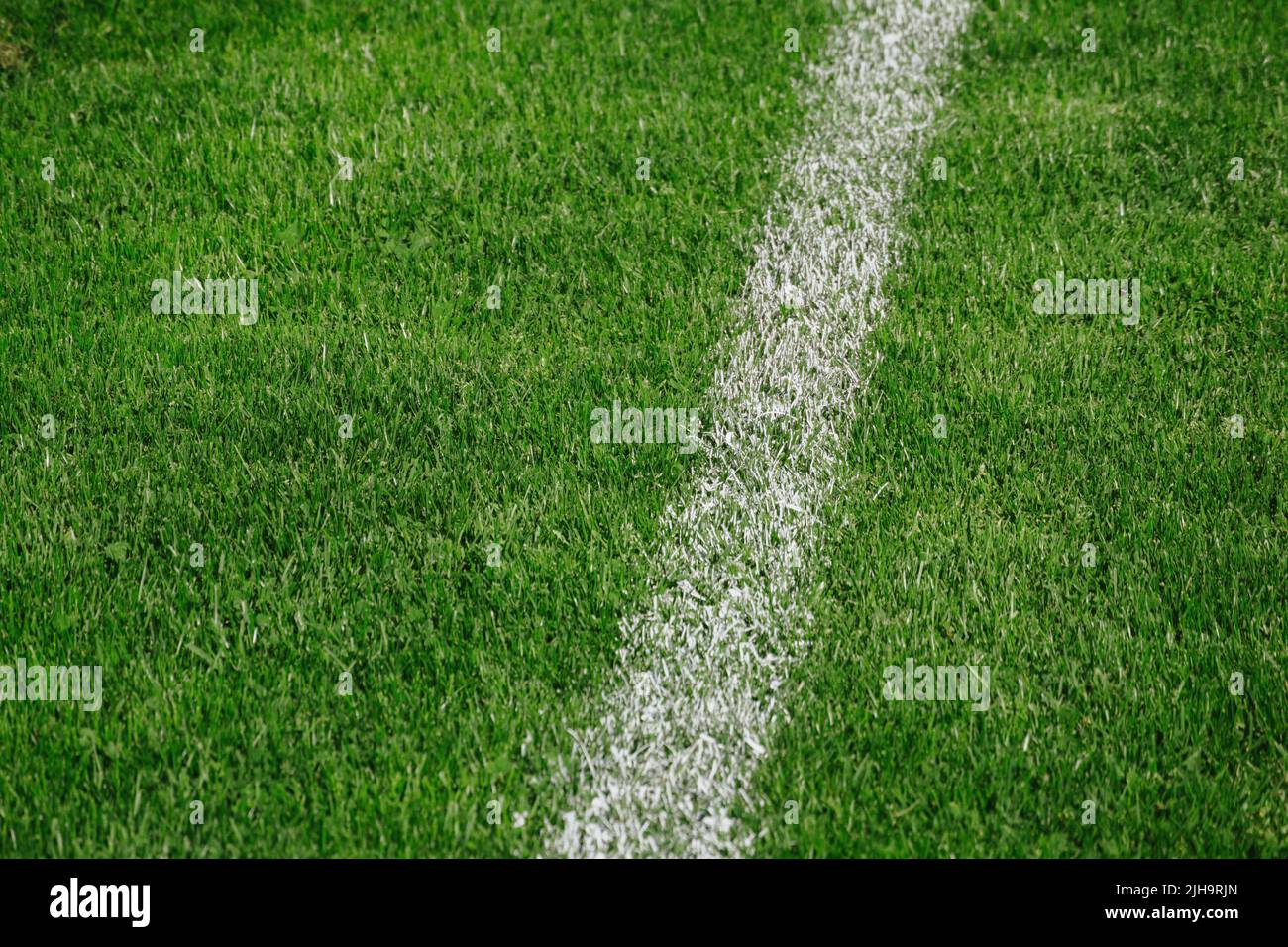 Close up of football soccer field on a sunny day with new turf with ...