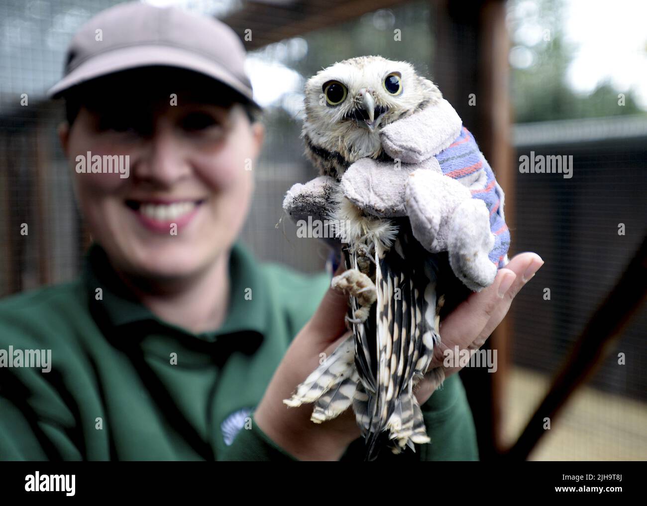 Happy hOWLoween: Something to HOOT about, Natalie Horner, Section Head ...