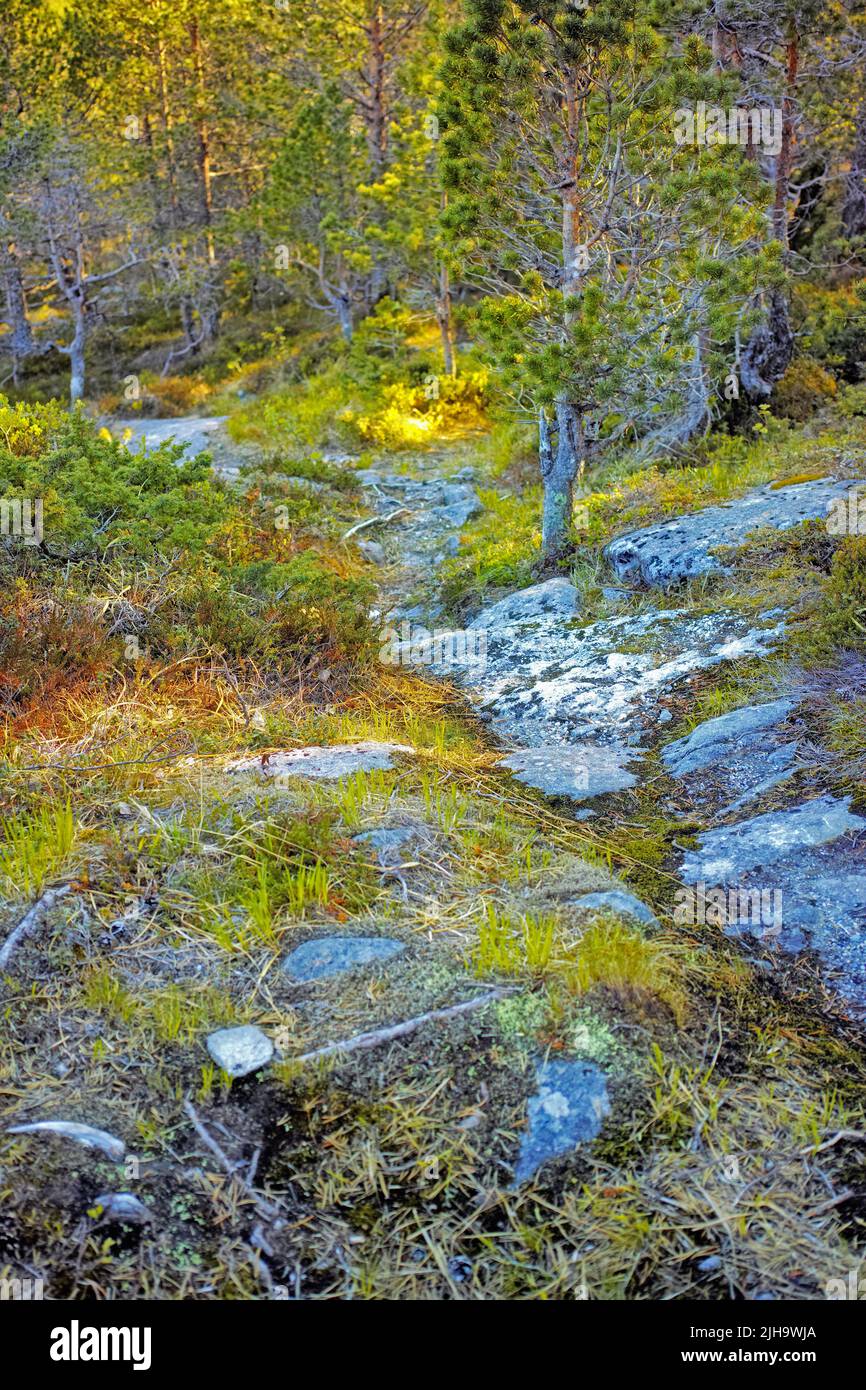 Thriving ecosystem hi-res stock photography and images - Alamy