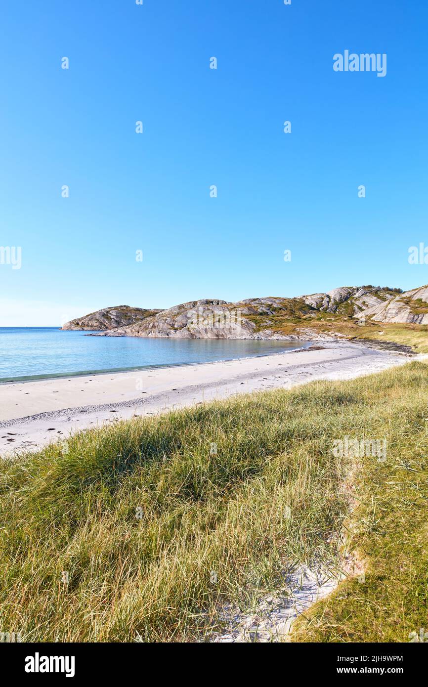 Copyspace at the beach with blue sky background above the horizon. Calm ...