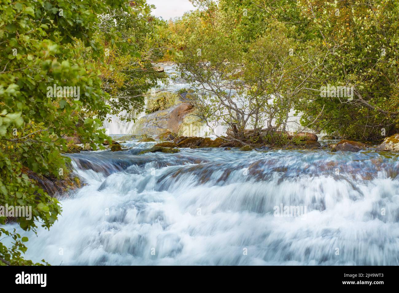 Closeup of a waterfall in the forest with green trees. Beautiful nature ...