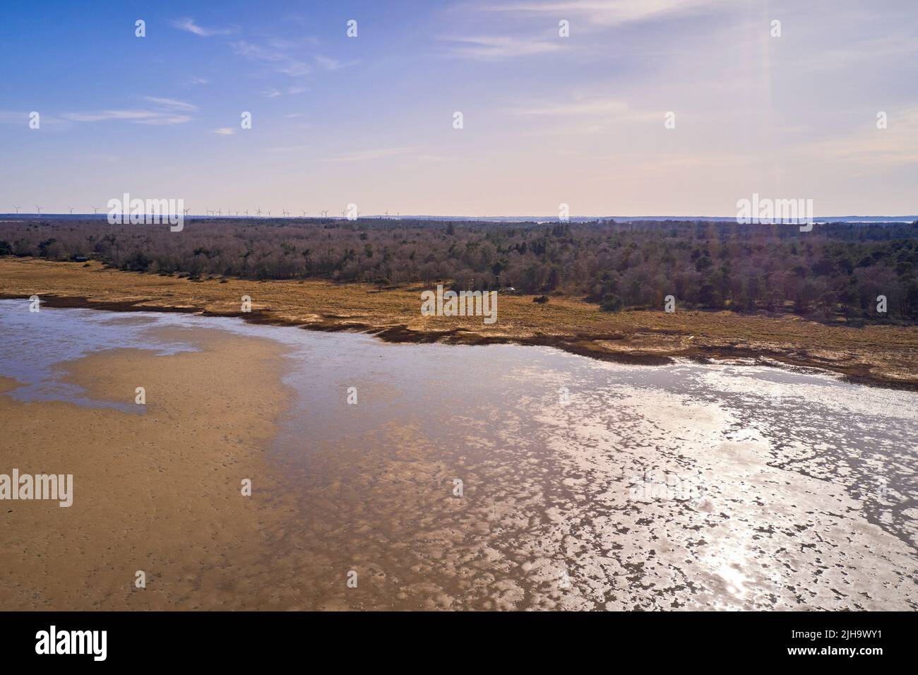 Dry bush land by the beach with clear sky copy space. Landscape of the ...
