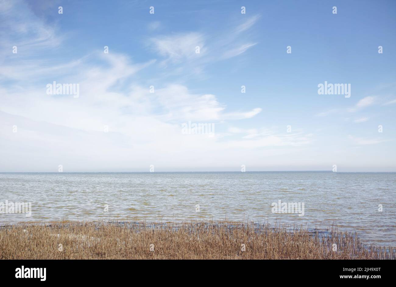 Copyspace with landscape of ocean and dry grassland in Kattegat in ...