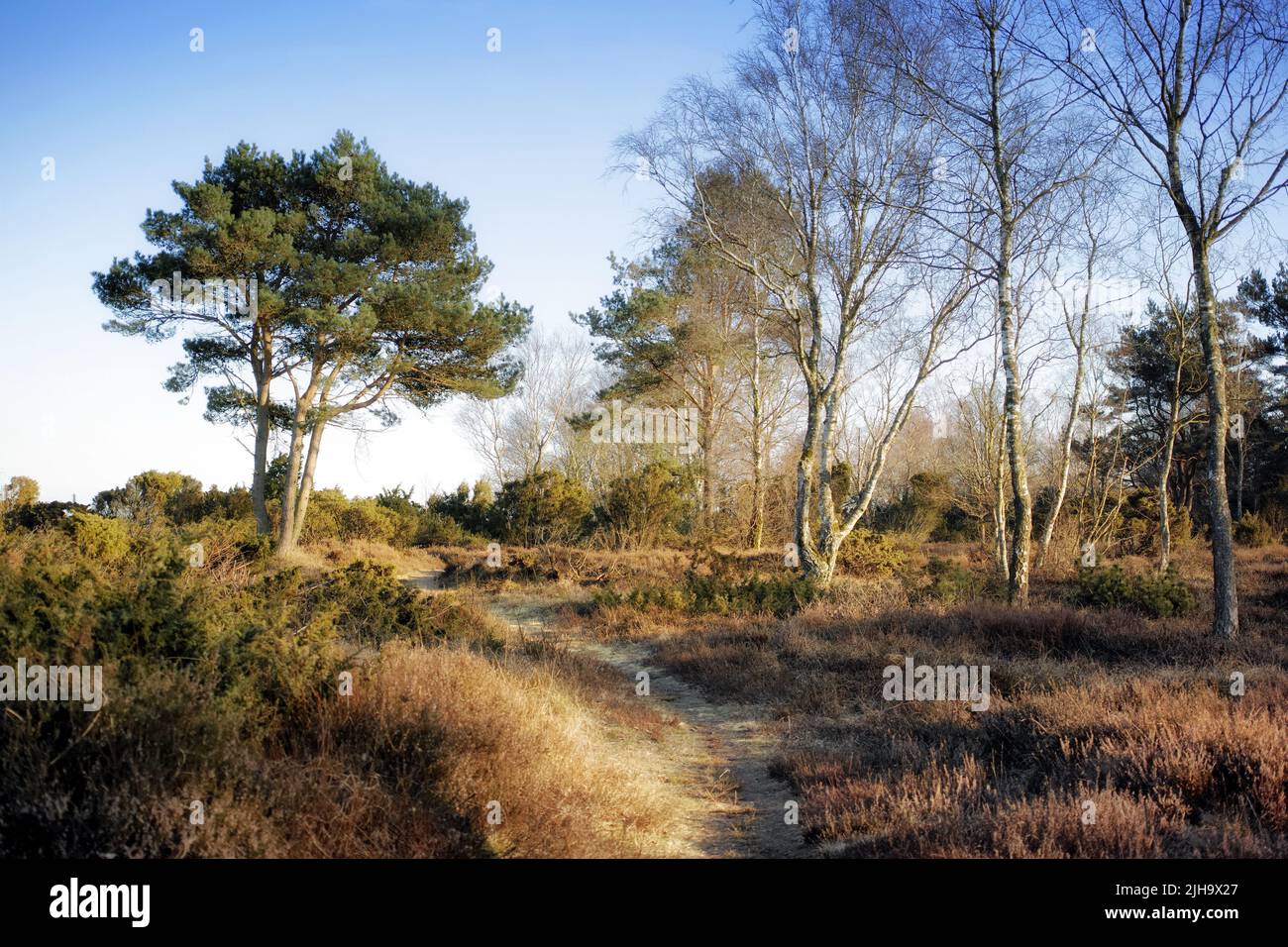 Secret and mysterious dirt road or pathway in a countryside leading to ...