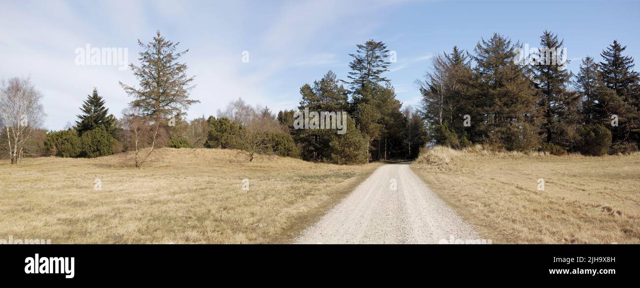 Copyspace with a path winding through dry grassland in nature in ...