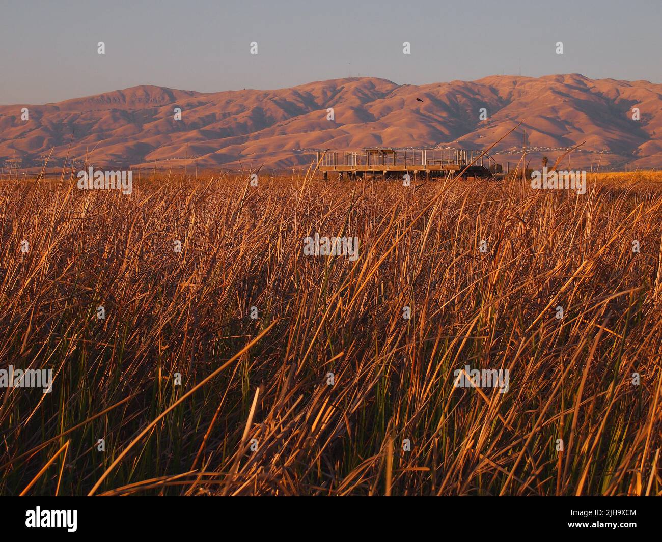 Alviso marsh hi-res stock photography and images - Alamy