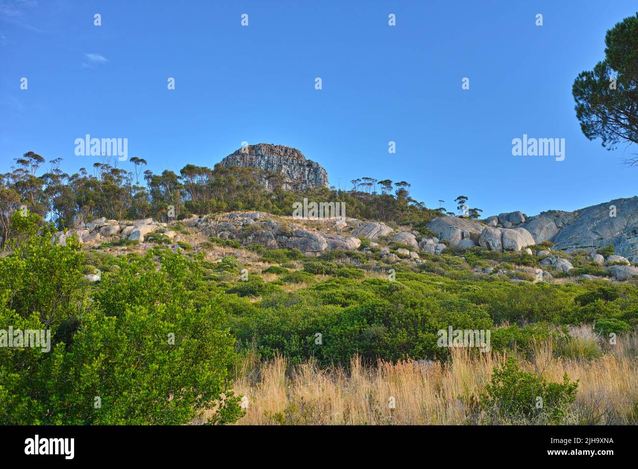 Landscape view of Table Mountain and surroundings during the day in ...