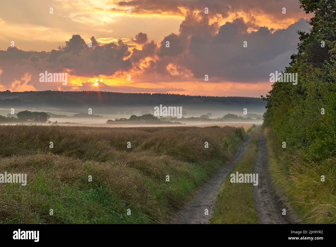 Red meadows road hi-res stock photography and images - Alamy