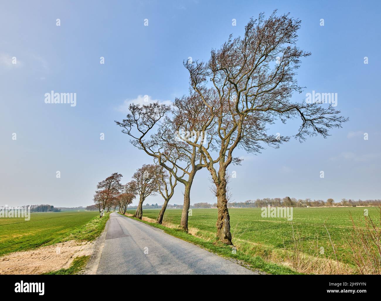 Strong road hi-res stock photography and images - Alamy