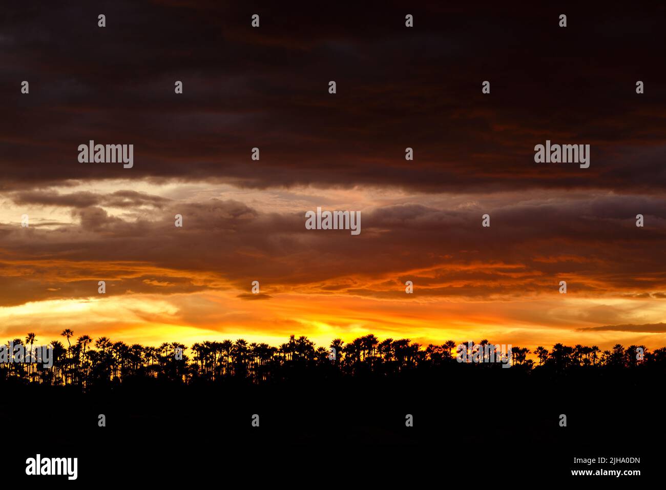 Brazil silhouette hi-res stock photography and images - Alamy