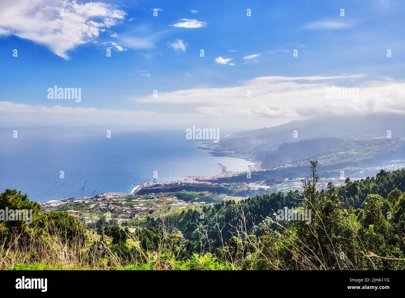 Scenic landscape of the mountains, a pine forest and the ocean with ...