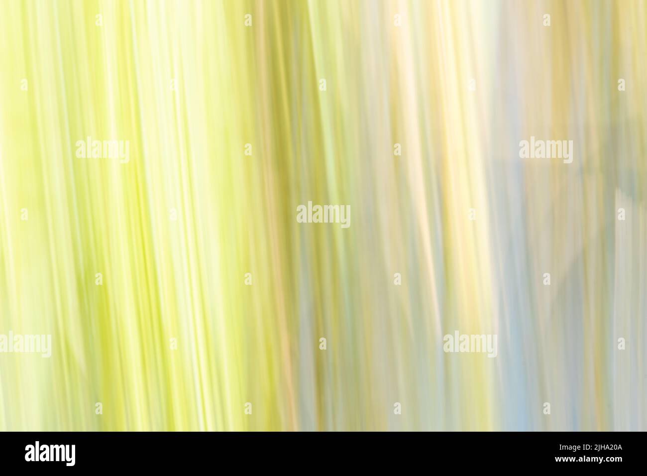 Abstract nature impressionist wetland vegetation Stock Photo - Alamy