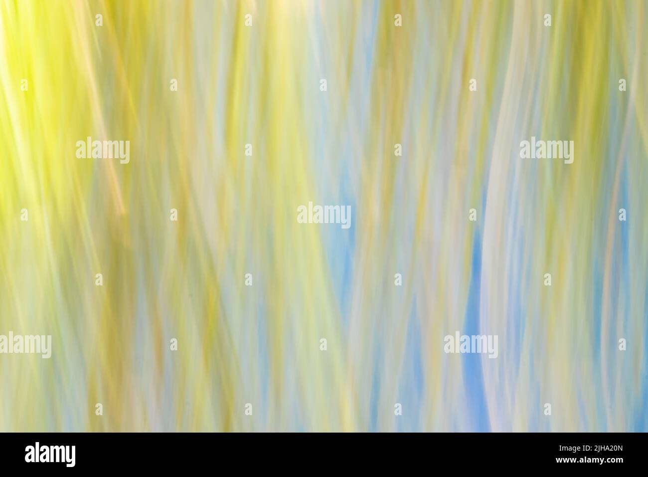 Abstract nature impressionist wetland vegetation Stock Photo - Alamy