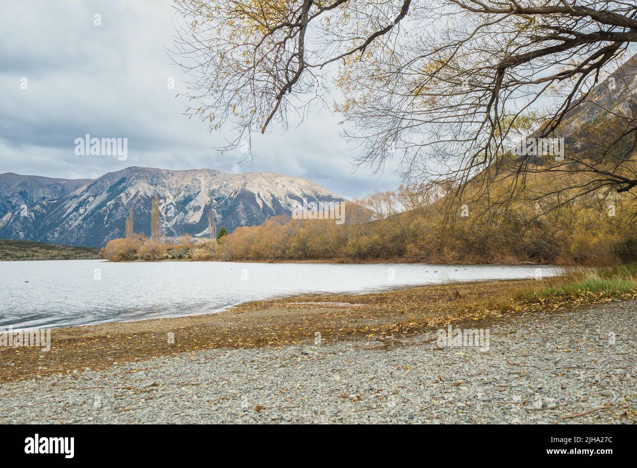 Craigieburn national forest hi-res stock photography and images - Alamy